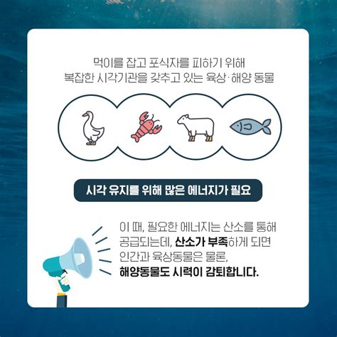 한국기후환경네트워크 환경오염으로 인한 기후변화가 해양생물에게도 영향을 끼치고 있어요 😭 심각성을
