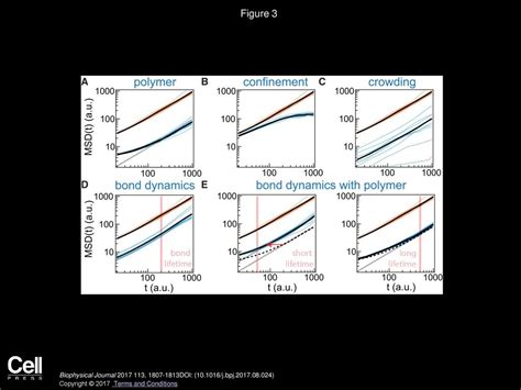 William Y C Huang Han Kuei Chiang Jay T Groves Biophysical Journal Ppt Download