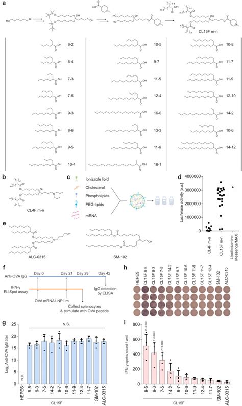 Overcoming Thermostability Challenges In Mrnalipid Nanoparticle
