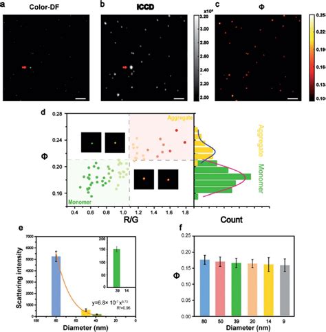 Colocalization Imaging Analysis Of 80 Nm Au Nps A A Color Dark Field Download Scientific