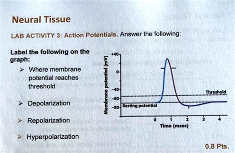neural tissue lab activity 3 action potentials answer the following