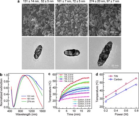 Tracing Sentinel Lymph Nodes And Inhibiting Lymphatic Metastasis With Ijn