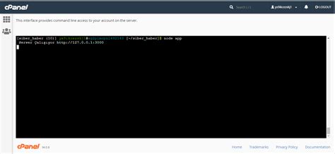 Javascript Nodejs Connection Error Server Is Running But Page Is Not