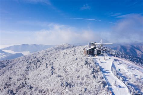 용평리조트 스키장 26일까지 연장 운영한다인디포커스