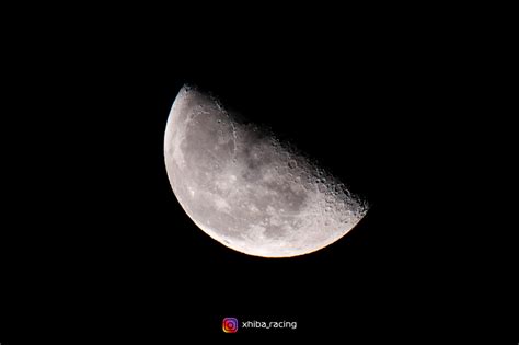 作品 麗寶追焦 半個月 D500 看板DSLR PTT網頁版