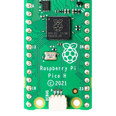 Raspberry Pi Pico H Microbot México