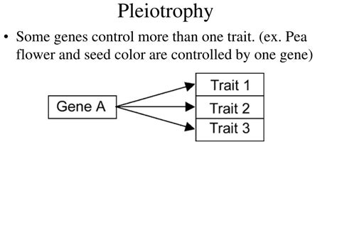 Ppt Non Mendelian Inheritance Powerpoint Presentation Free Download