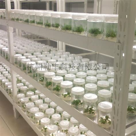 杭州勒丰科技有限公司