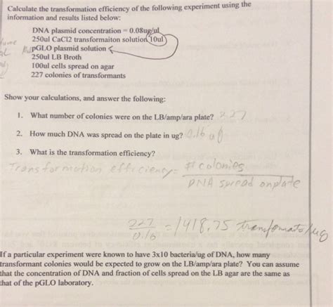 Solved Calculate The Transformation Efficiency Of The