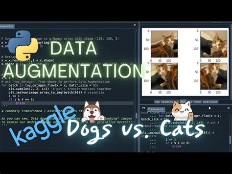 Python Data Augmentation Using ImageDataGenerator Tensorflow