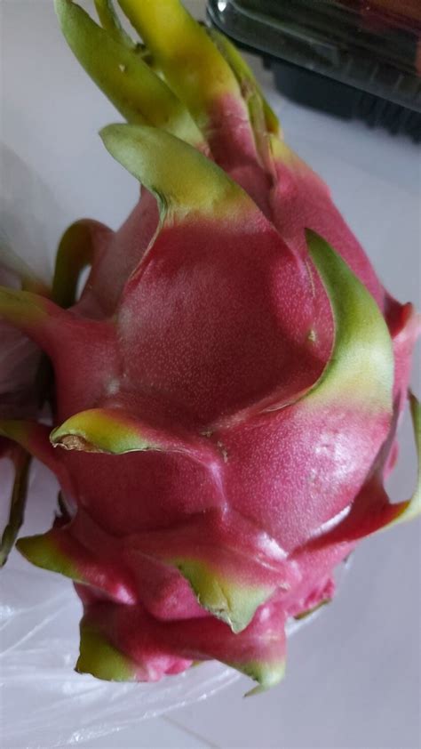 열대과일과 고기 뉴스트림