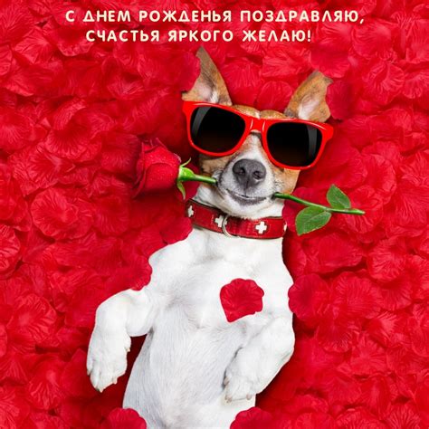 Картинки с надписями C днем рожденья поздравляю Счастья яркого желаю