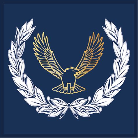 Cadet Insignia Air Cadet 101