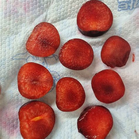 광기의 체리자두 탕후루 만들기 인스티즈instiz 일상 카테고리