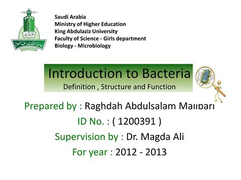 Introduction To Bacteria Structure And Function PPTX