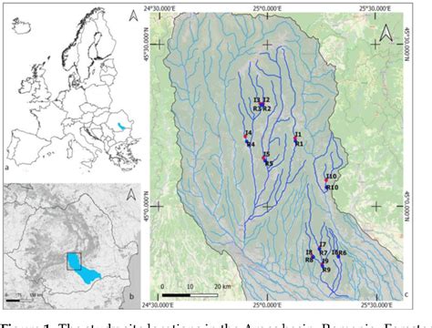 Figure 1 From Riparian Vegetation Structure Influences Terrestrial