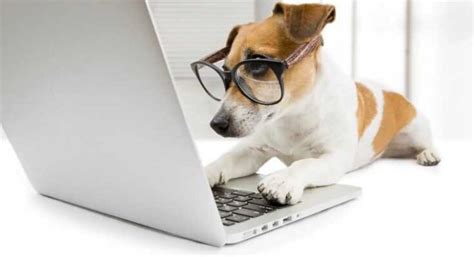 Тернопіль файна косметика Більш ніж половина дівчат страждають від різних форм проблемної та