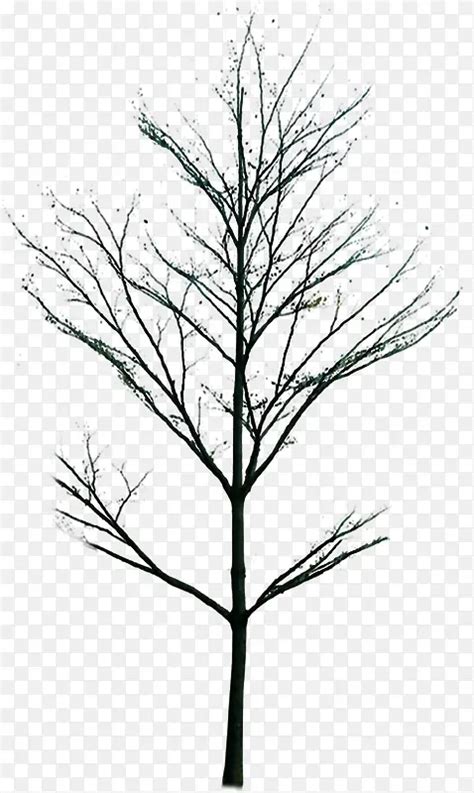 创意高清合成效果枯树黑白风格png图片素材下载 图片编号9651702 Png素材网