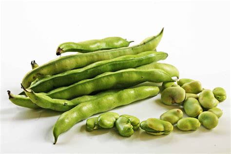 25 Facts About Fava Bean Ohmyfacts