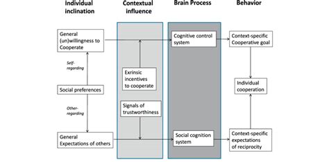 Theoretical Framework Accounting For Individual Differences In Download Scientific Diagram
