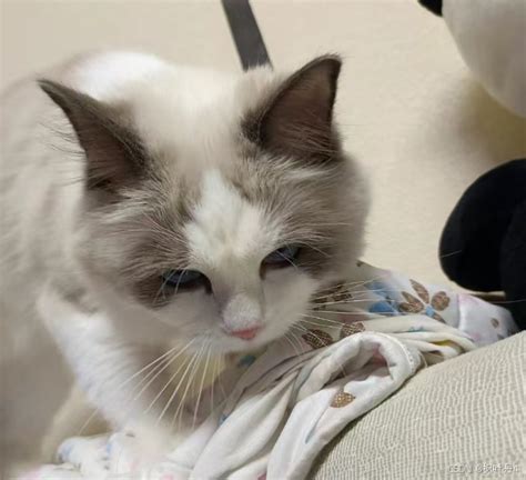 【在linux世界中追寻伟大的one Piece】connect的断线重连linux C Tcp客户端断开重连机制代码 Csdn博客