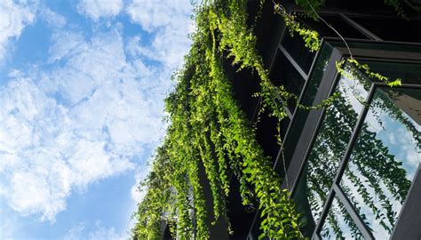 자연x도시 모델 바이오필릭 시티의 등장 Publy