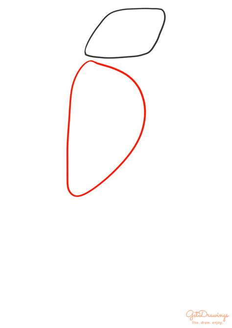 How To Draw A Parrot Getdrawings Com