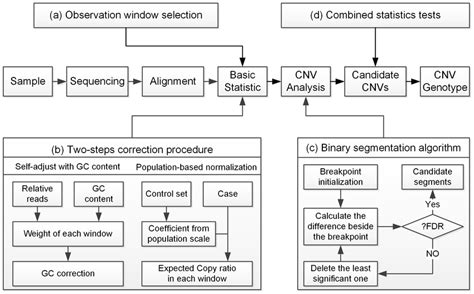 Bioinformatics Pipeline Of Our Copy Number Variation Analysis Strategy