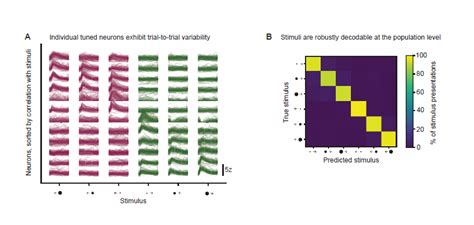 New Article On Biorxiv “whole Brain Neural Substrates Of Behavioral