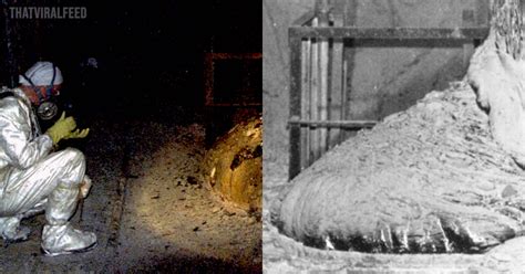 Shocking Photo Shows The Most Deadliest Object On Earth That Kills You In Two Days If You Look