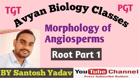 Biology For Tgt Pgt Lt Avyan Biology Classes Morphology Of Angiosperms Modification Of Root
