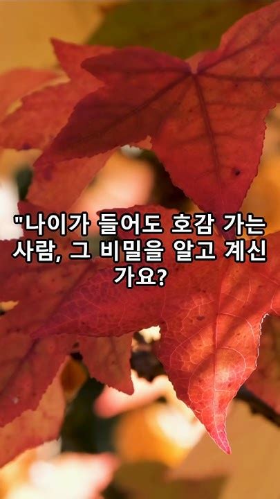 나이 들어도 사랑받는 사람들의 비밀 5가지 중년 시니어 인생조언 철학 말씀 좋은글 삶의지혜 명언 오디오북 Youtube