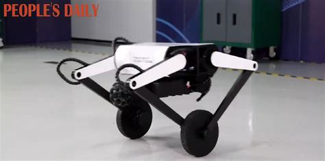 Enjoy The Talent Show Staged By Wheel Legged Robot Ollie From China