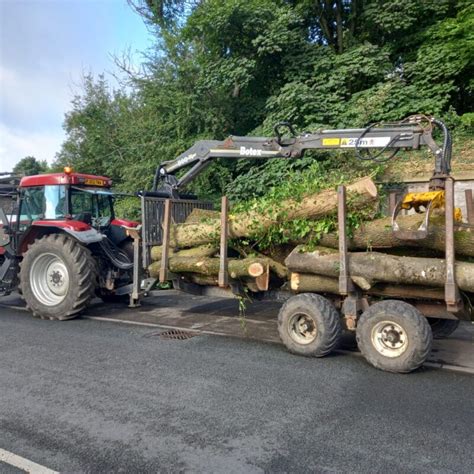 Cms Tree Services • Local Tree Surgeon