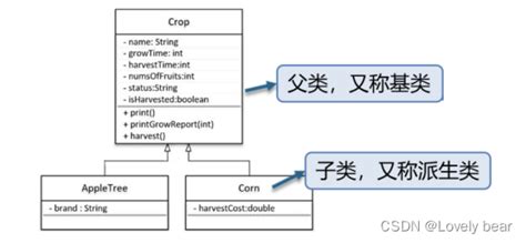 面向对象之继承 Csdn博客 面向对象之继承 Csdn博客