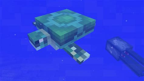 Minecraft 114 News Turtles Coming To Minecraft Turtle Mob Youtube