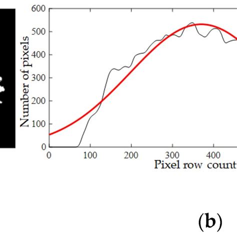 A An Individual Tree B Projection Histogram In The Horizontal Download Scientific Diagram
