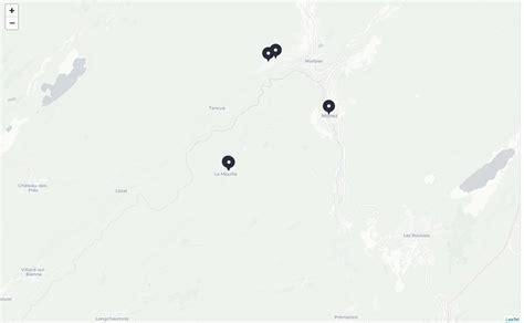 vue 传单在构建应用程序时不起作用 javascript vue小助理 vue