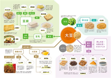 大豆からできる食べ物作り方の検索結果 Yahooきっず検索
