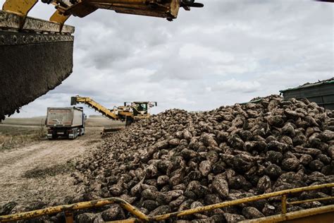 Полтавська область серед лідерів по валовому збору зернових