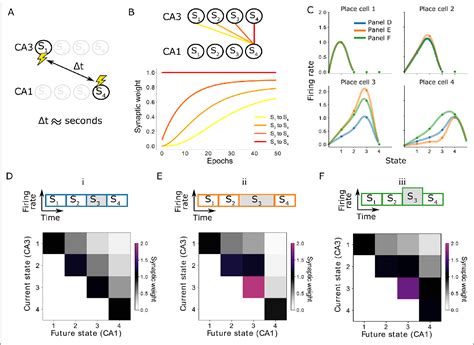 Figure 1 From Learning Predictive Cognitive Maps With Spiking Neurons During Behavior And