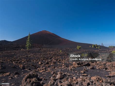 Chinyero 화산의 검은 색과 빨간색 원뿔의 모습 Chinyero 하이킹 트레일 루프의 화산 풍경 용암 재 바위 녹색 고유 카나리아 섬 소나무와 맑고 푸른 하늘 테네리페