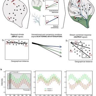 Conceptual Figure Illustrating Both The Spatial A And Temporal B Download Scientific