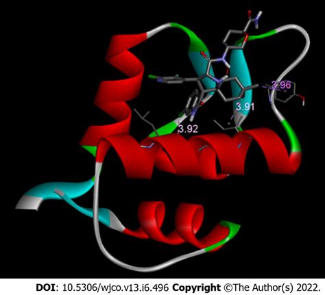 Mouse Double Minute 2 Protonated Ds 3032b Conformer Mouse Double Download Scientific Diagram