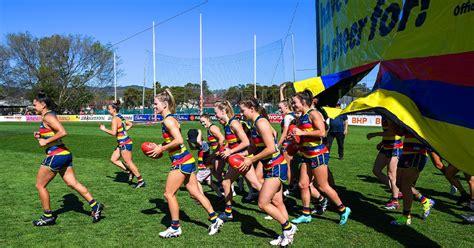 Aflw Sign And Trade Period Dates Released