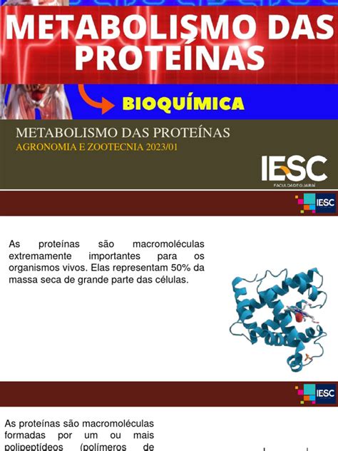 Aula 7 Metabolismo Das Proteinas Pdf Metabolismo Proteínas