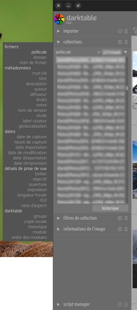 Double Screen And Selection In Collection · Issue 13257 · Darktable Orgdarktable · Github