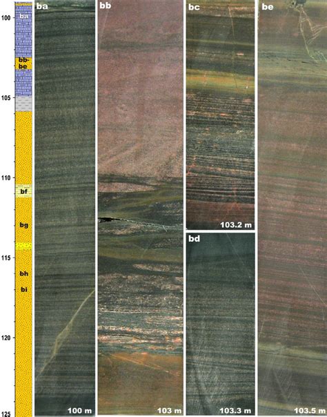 51 Continued Ba Dark Coloured Parallel Laminated Calcareous
