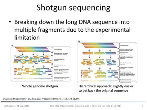 Ppt Lecture 4 Short Read Alignment Powerpoint Presentation Free Download Id5237959
