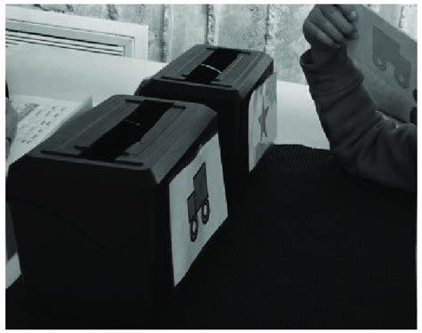 Set Up For Executive Function Test Download Scientific Diagram